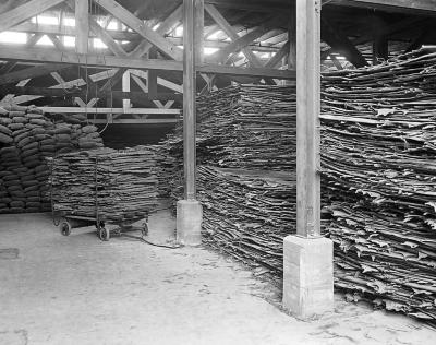 Shoemaking, Hides and Bags of Red Quebracho Extract. Endicott Johnson ...